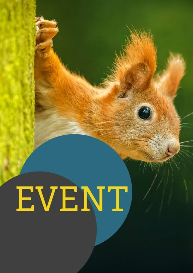 Autumn (Statement) Watch • Resolution Foundation